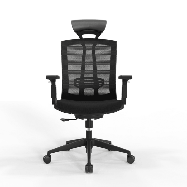 Ergo Plus Office Chair | Shop Overloaded Mesh Back Desk Chairs