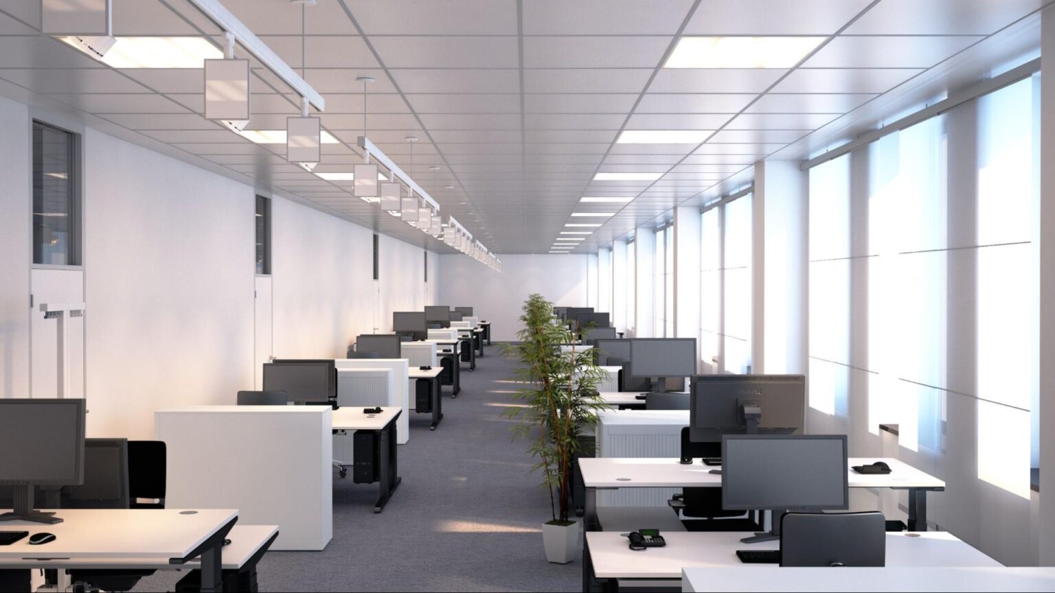 Types of Cubicles: What's Best for Your Office? | Arnold's